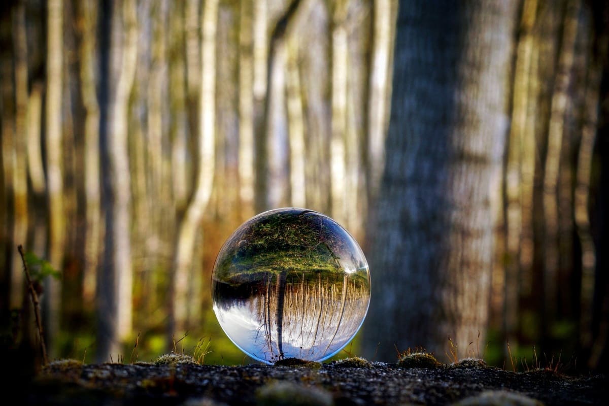 Harness the Power of Clarity to Transform Your Life Journey
